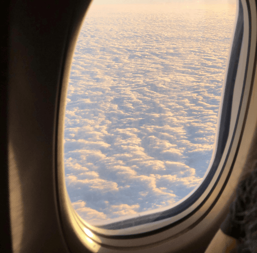 Smart SIM | Honest Mobile