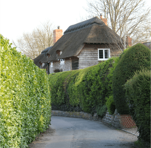 Get Smart SIM | Honest Mobile